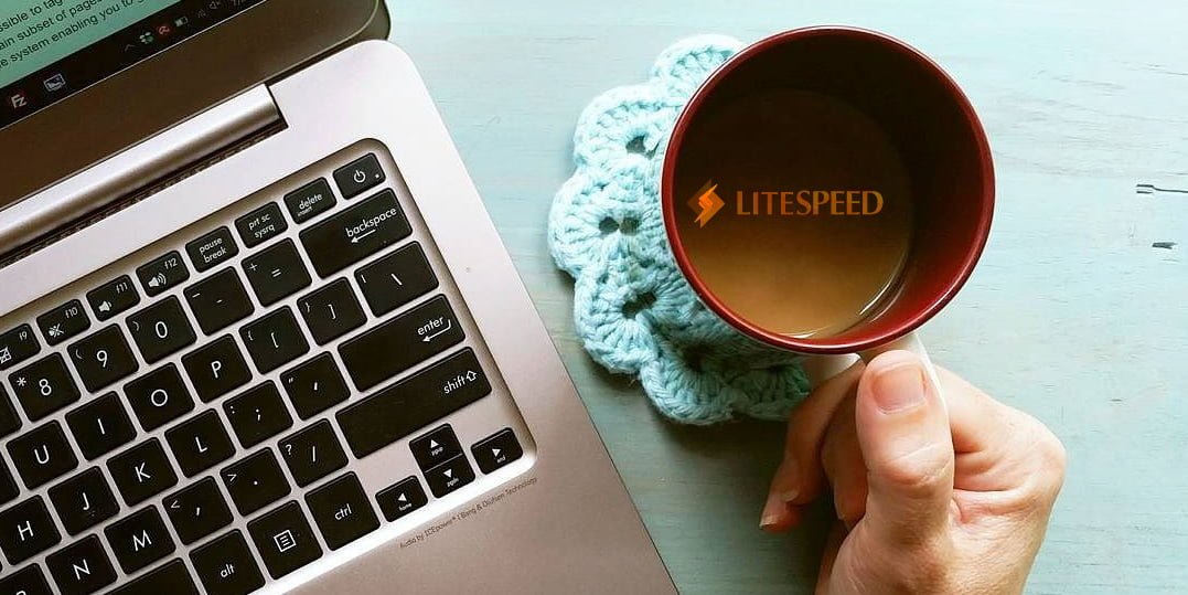 Which LiteSpeed Server Powers YOU? ⋆ LiteSpeed Blog