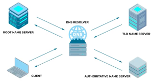Introduction to Web Servers ⋆ LiteSpeed Blog