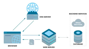 Introduction to Web Servers ⋆ LiteSpeed Blog